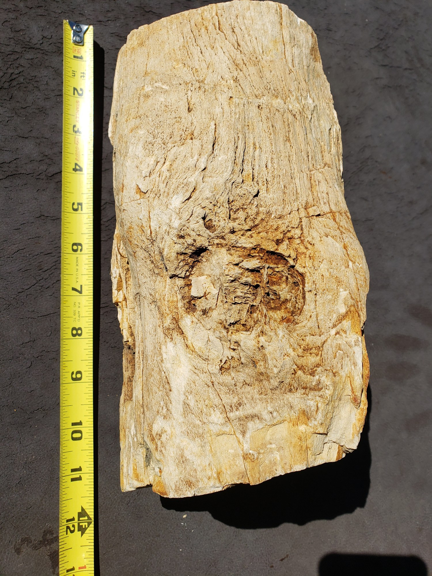 Week 36 - Lawyers, Guns & Money