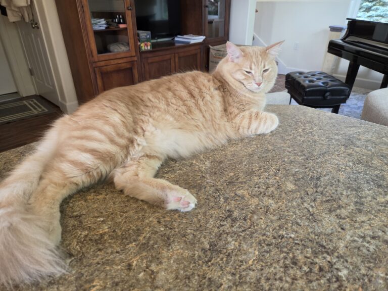 Luca Would Like To Remind You Of The Silent Auction - Lawyers, Guns & Money