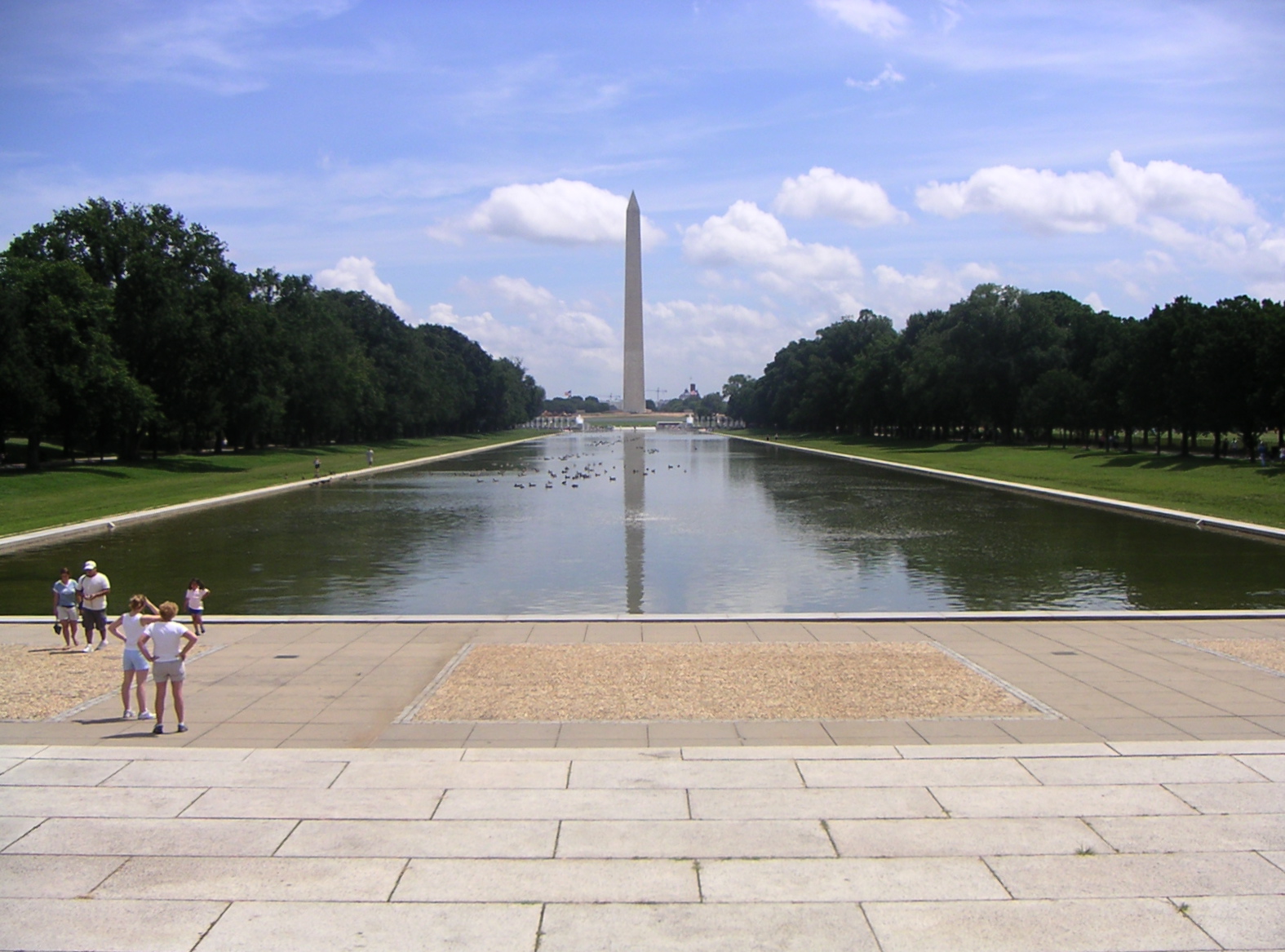 Vandals used box cutter or knife to cut 290 or 300-foot "slit" in ...